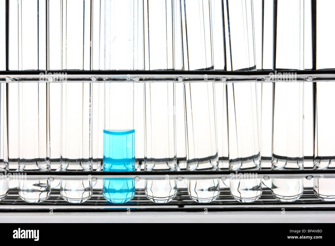 Chemicals in test-tubes. Liquid chemicals in a chemical laboratory ...