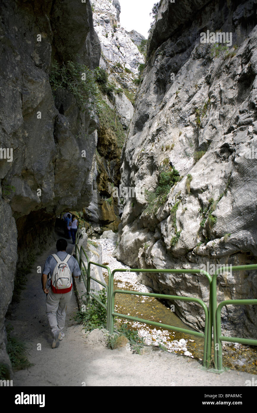 Walkers on the Cares Route, along the Cares Gorge, Picos de Europa ...
