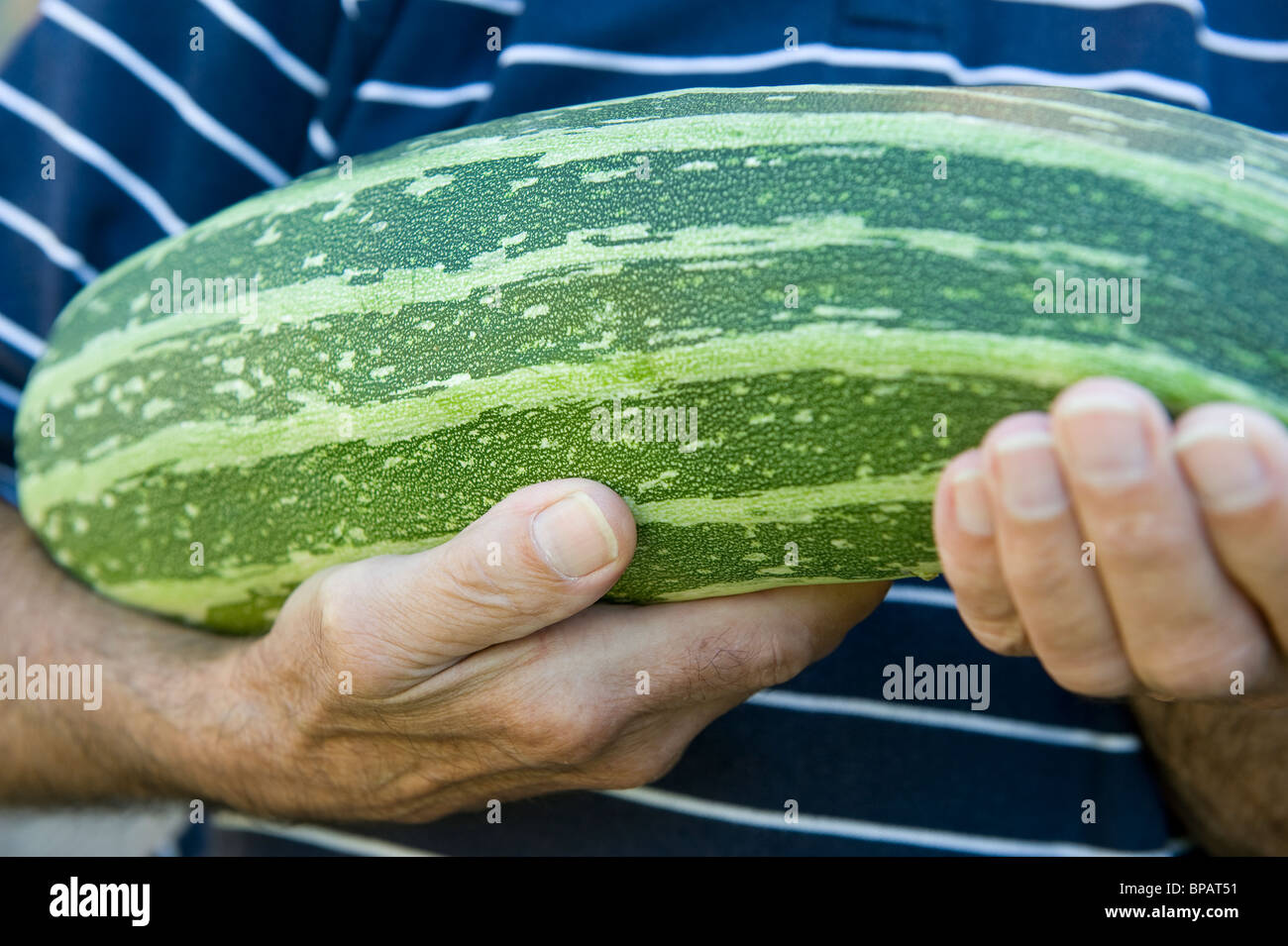 Large male specimen hi-res stock photography and images - Alamy