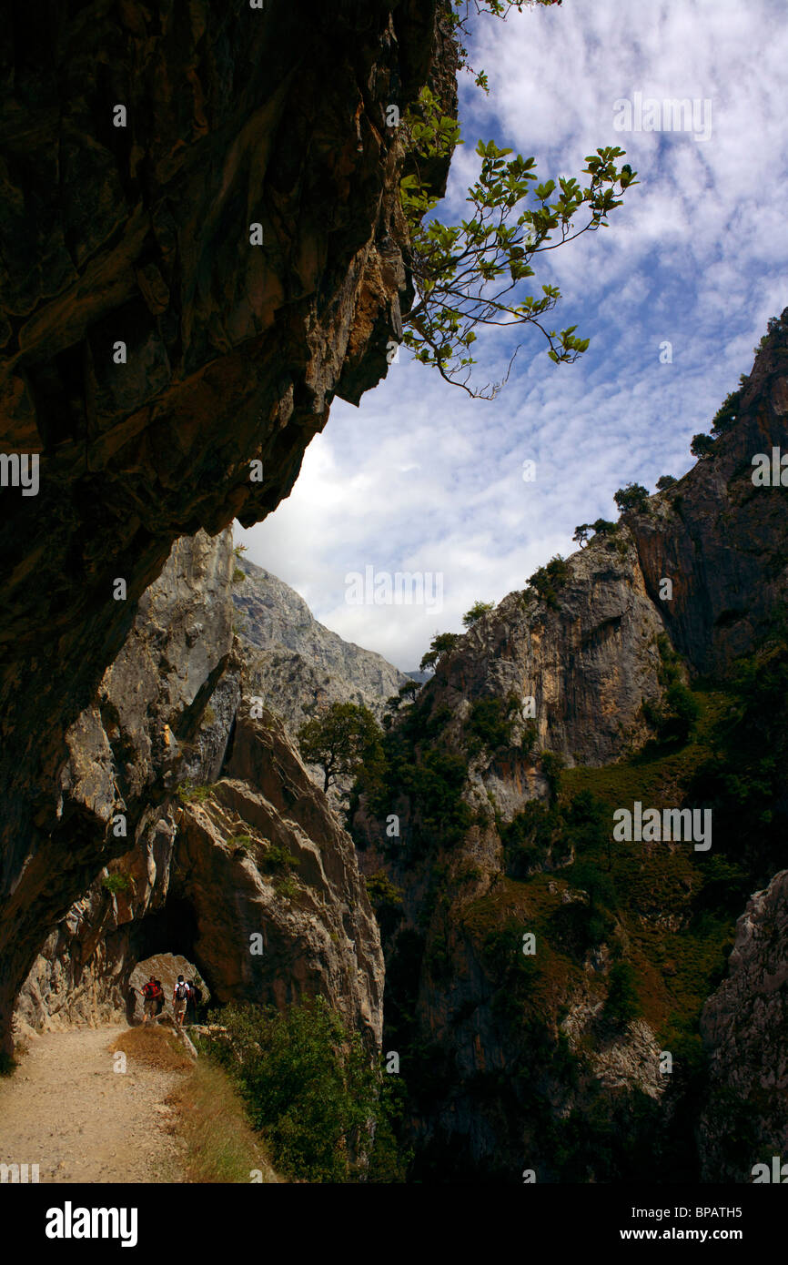 Walker on the Cares Route, along the Cares Gorge, Picos de Europa ...