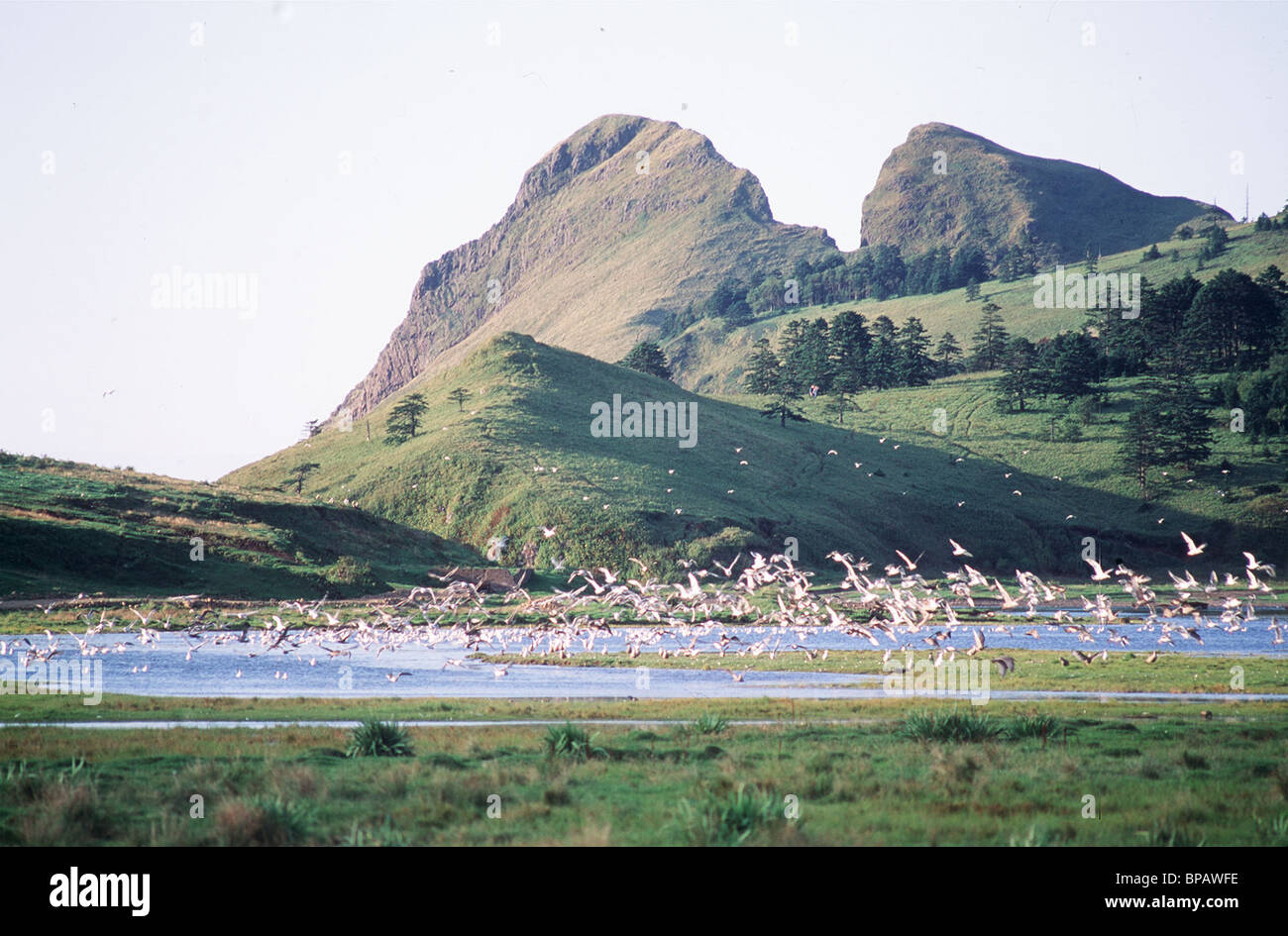 Sakhalin Region High Resolution Stock Photography and Images - Alamy