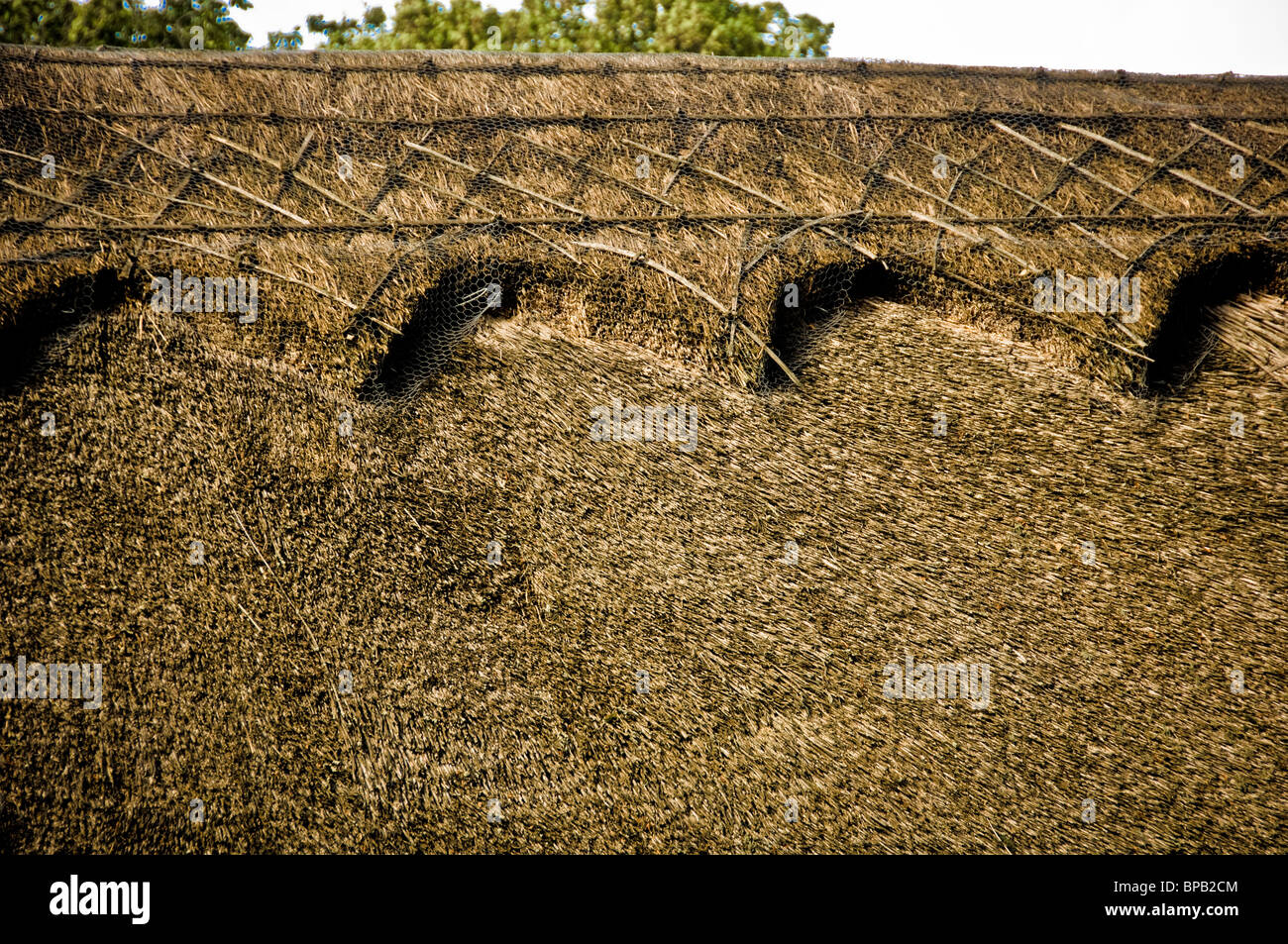 Closeup of a thatched roof Stock Photo - Alamy
