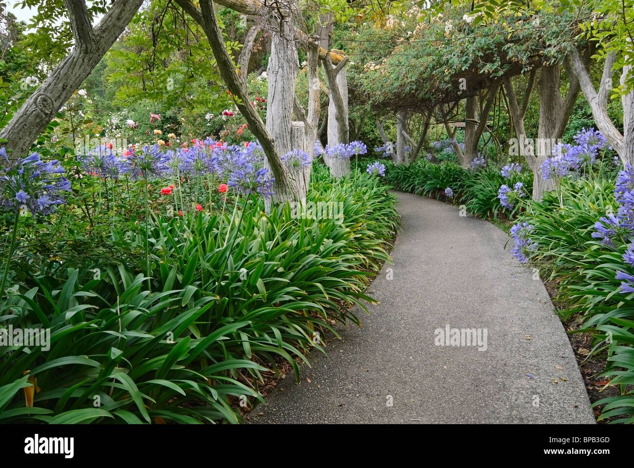 Garden path walkway hi-res stock photography and images - Alamy