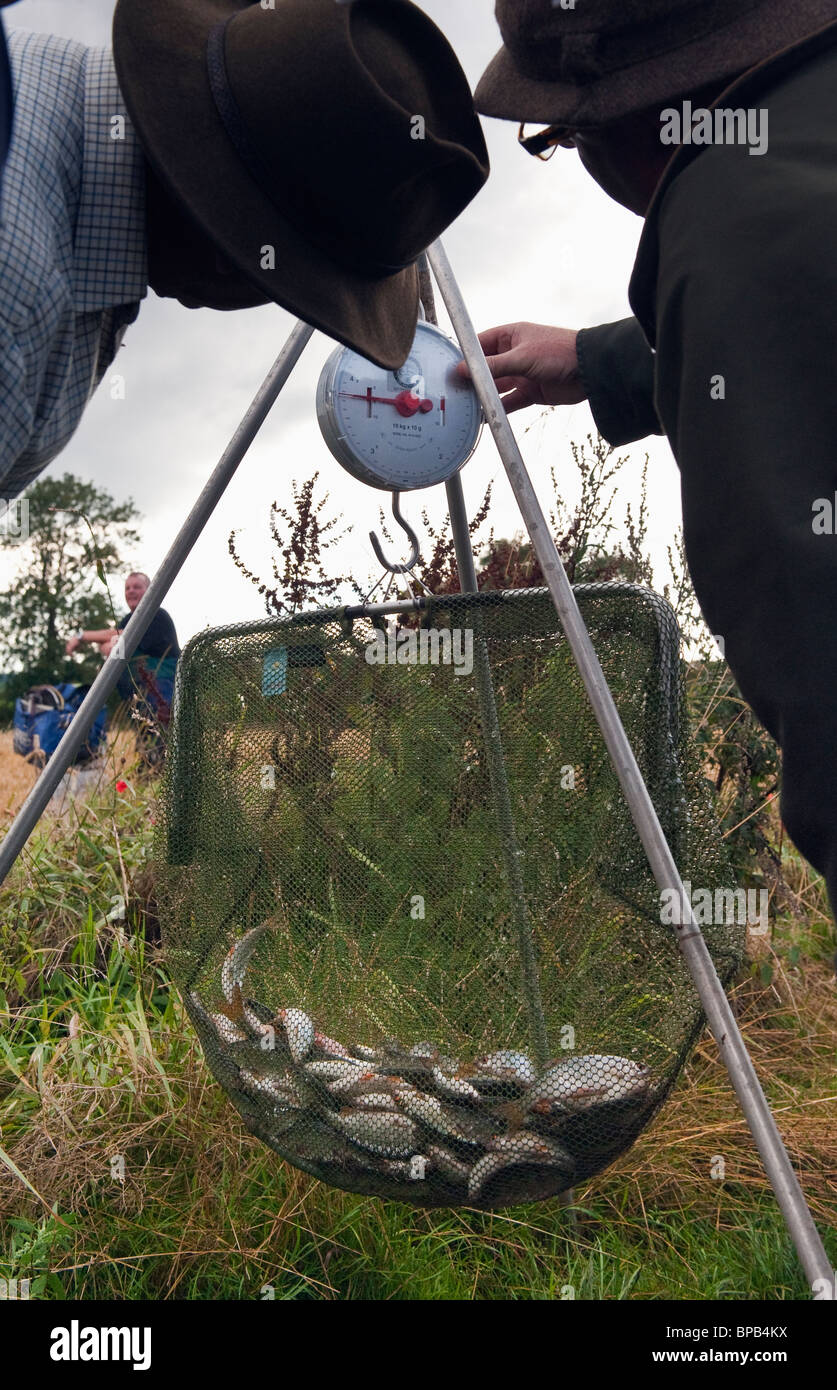 Weighing fish hi-res stock photography and images - Alamy