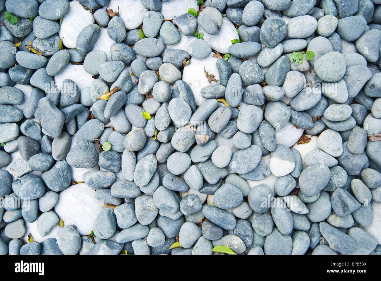 Pebbles filling frame hi-res stock photography and images - Alamy