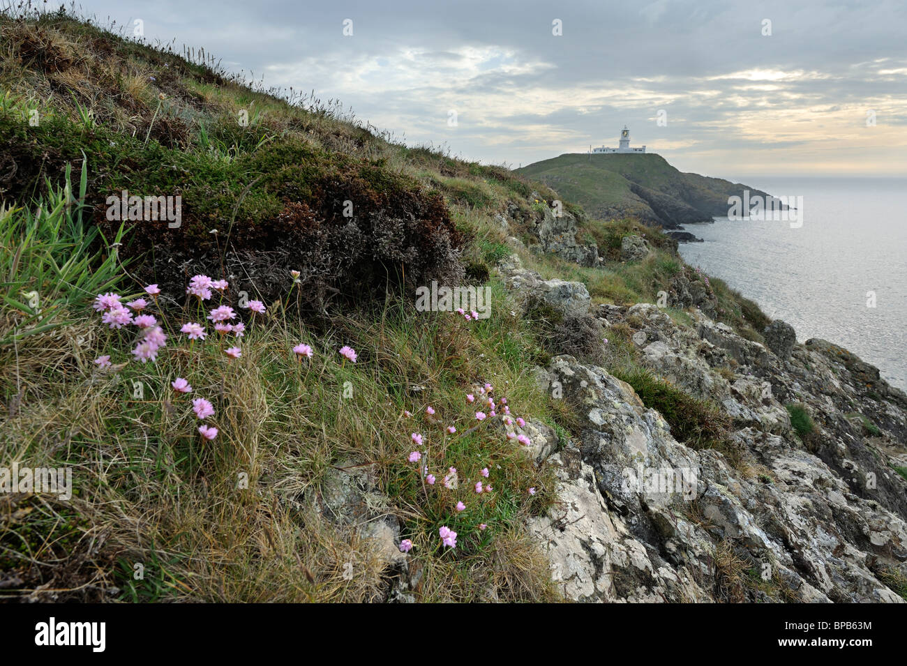 Strumble Head Lighthouse, Pembrokeshire Stock Photo - Alamy