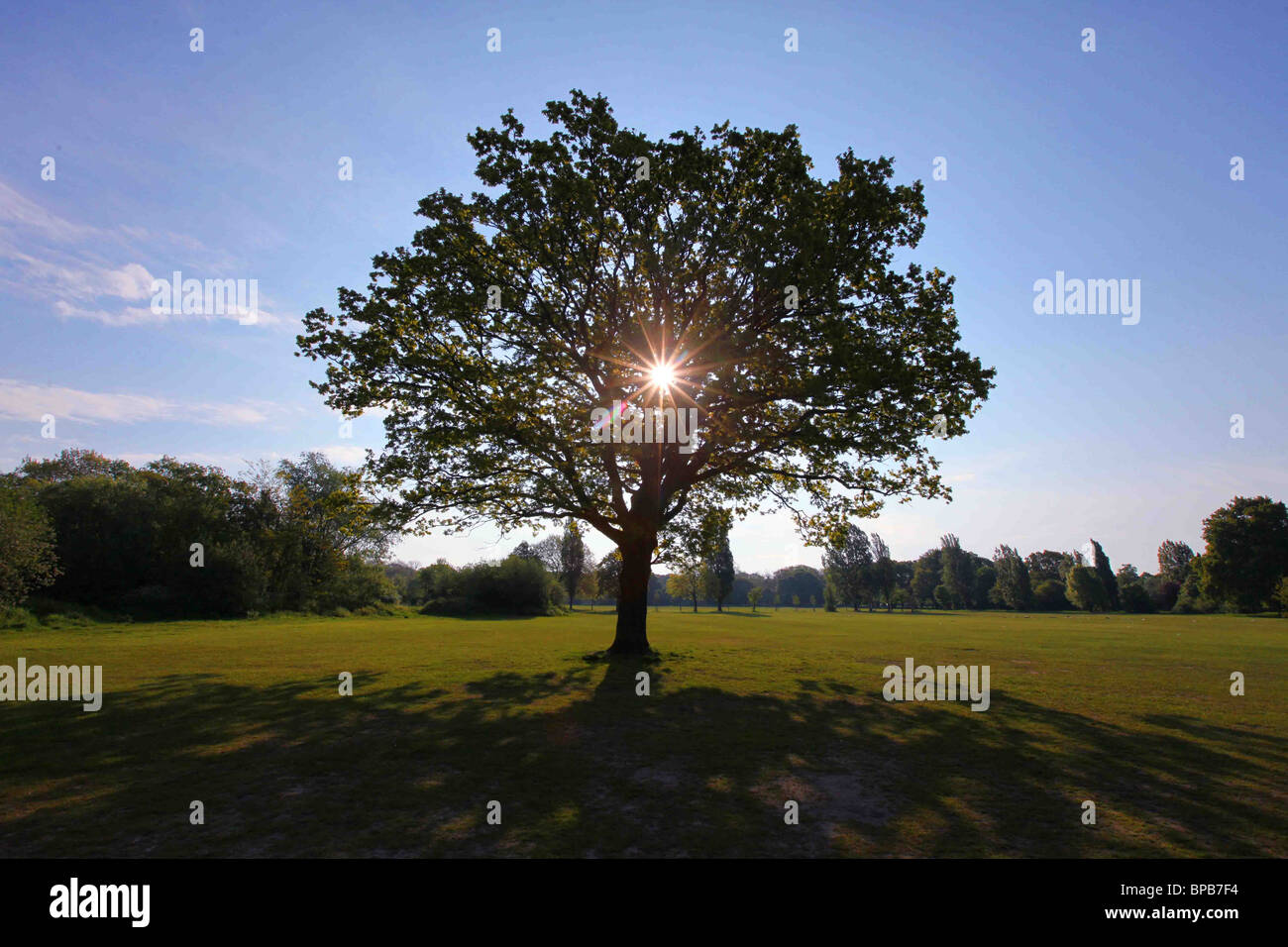 Tooting common hi-res stock photography and images - Alamy