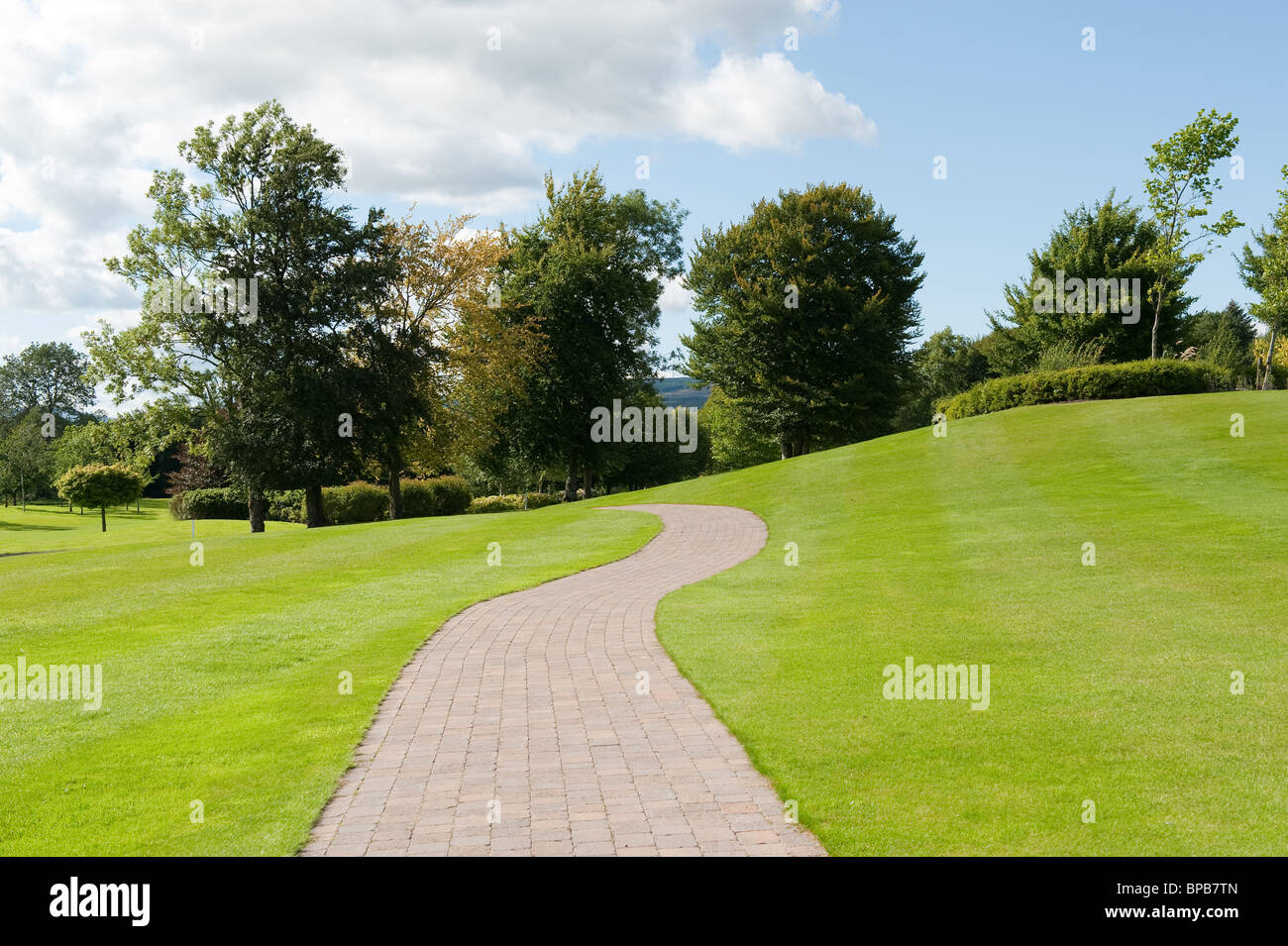 Outdoor trees and leaves landscape small mountains hi-res stock ...