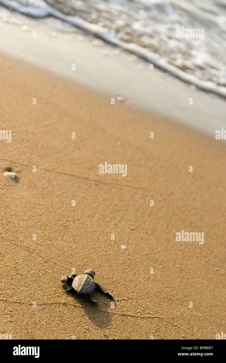 Mapoon beach hi-res stock photography and images - Alamy