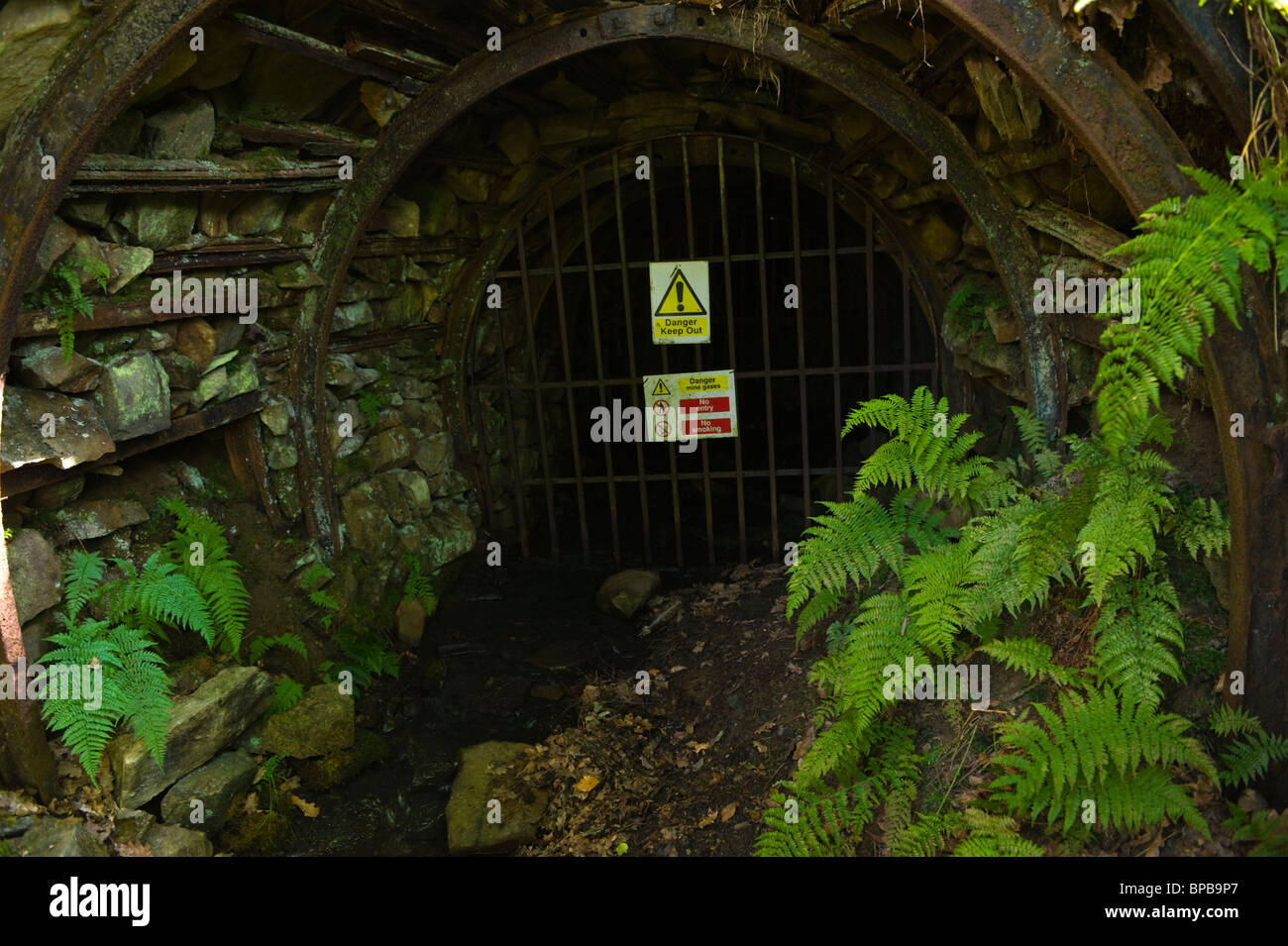 Overgrown entrance to abandoned coal mine at Troedrhiwgwair Blaenau ...