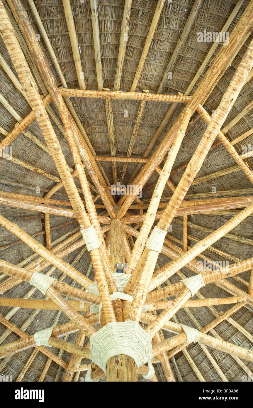 Palm thatched roof internal supports and construction detail Stock ...