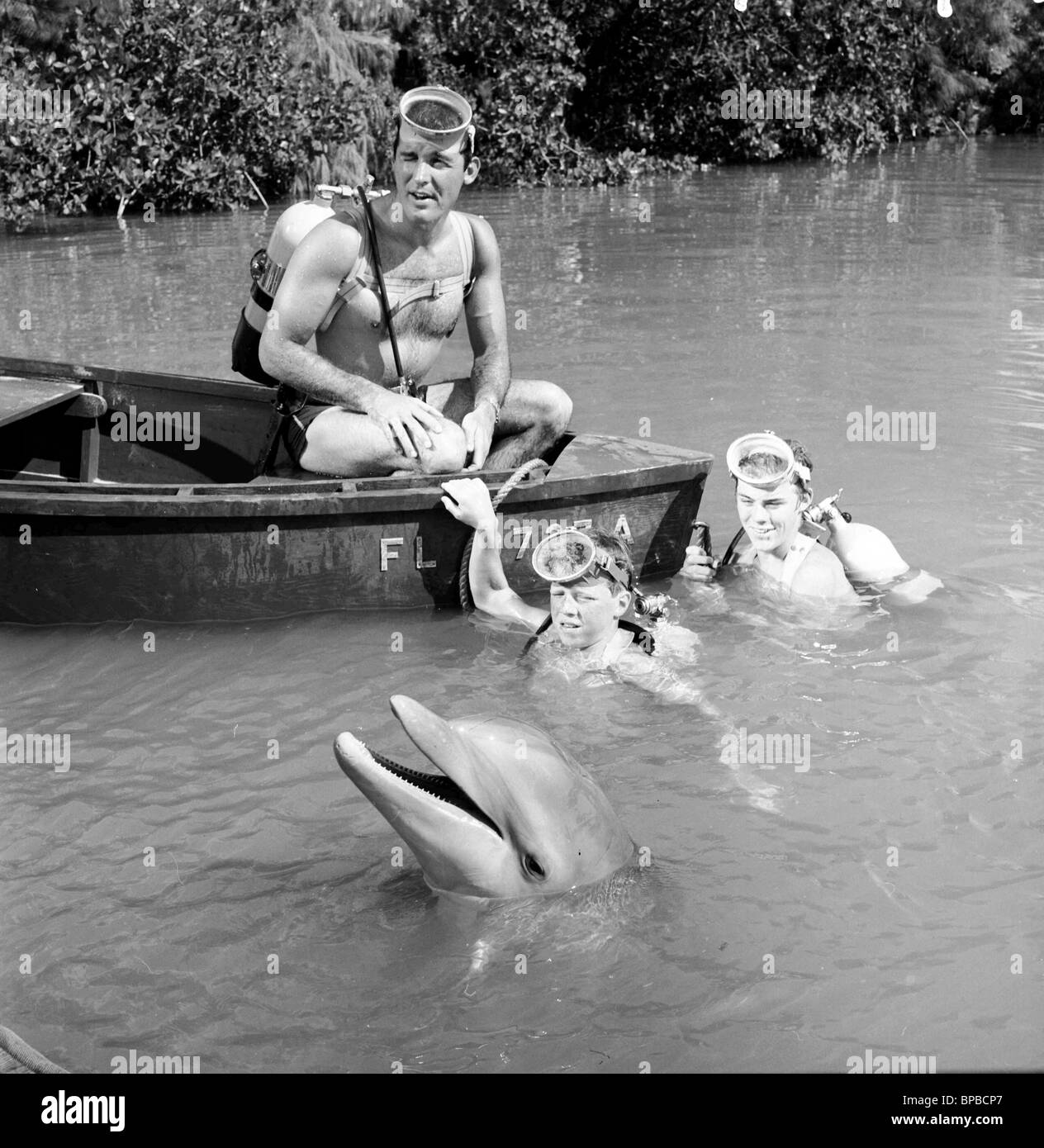 Halpin Stock Photos & Halpin Stock Images - Alamy