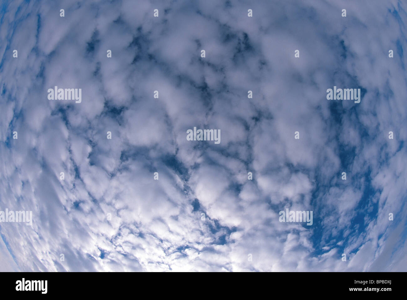 Fisheye view of cloudy sky Stock Photo - Alamy