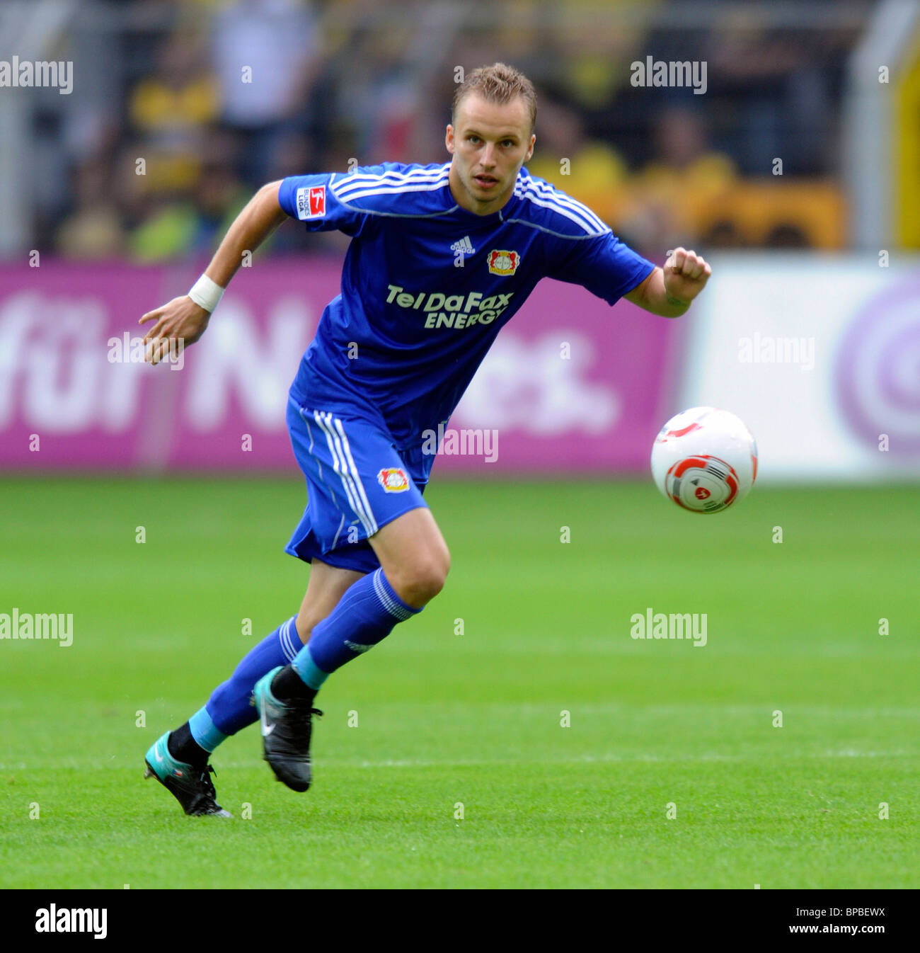 Kadlec hi-res stock photography and images - Alamy