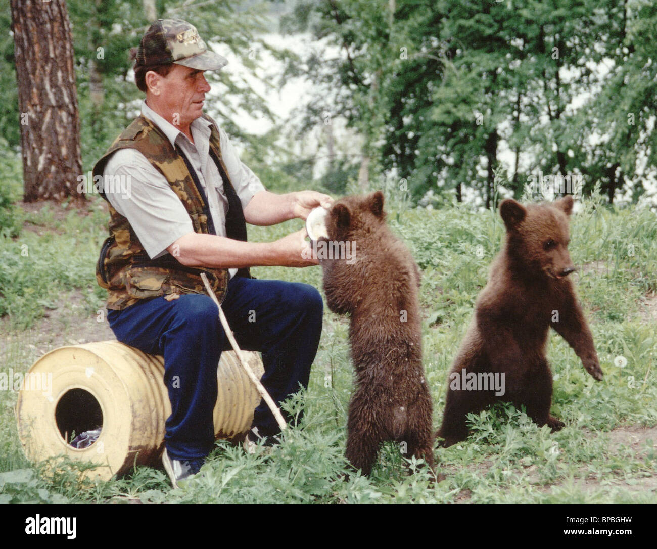 Friendly Bear High Resolution Stock Photography and Images - Alamy