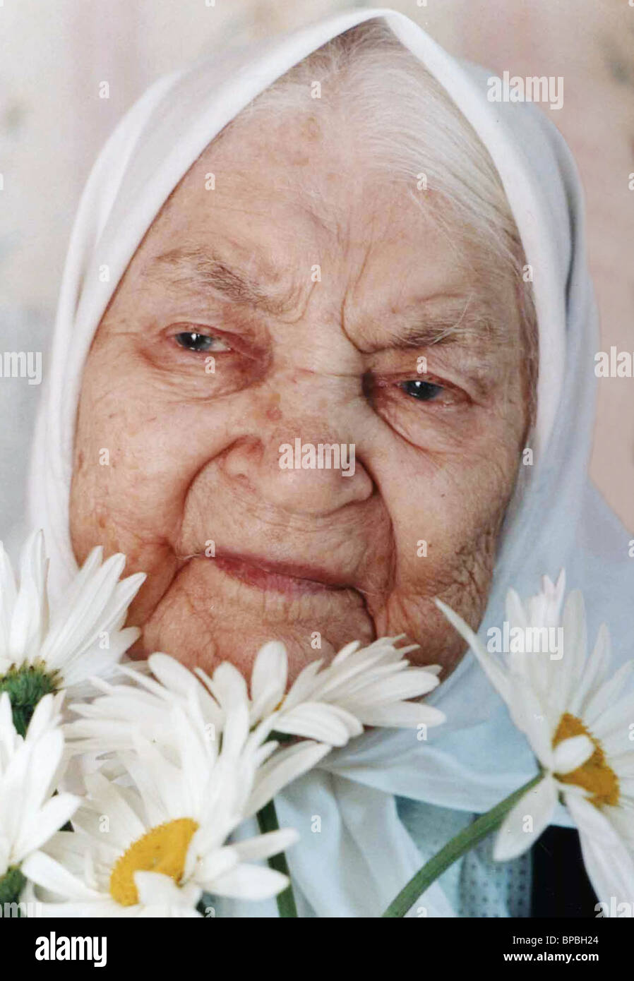 Two Spent Flowers High Resolution Stock Photography and Images - Alamy