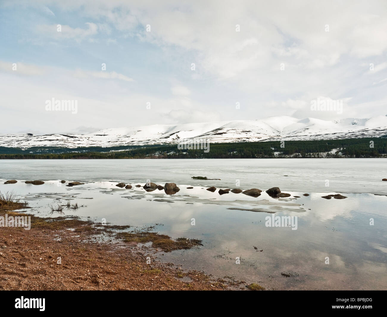 Loch Morlich frozen in winter, near Aviemore, Cairngorms, Scotland, UK ...