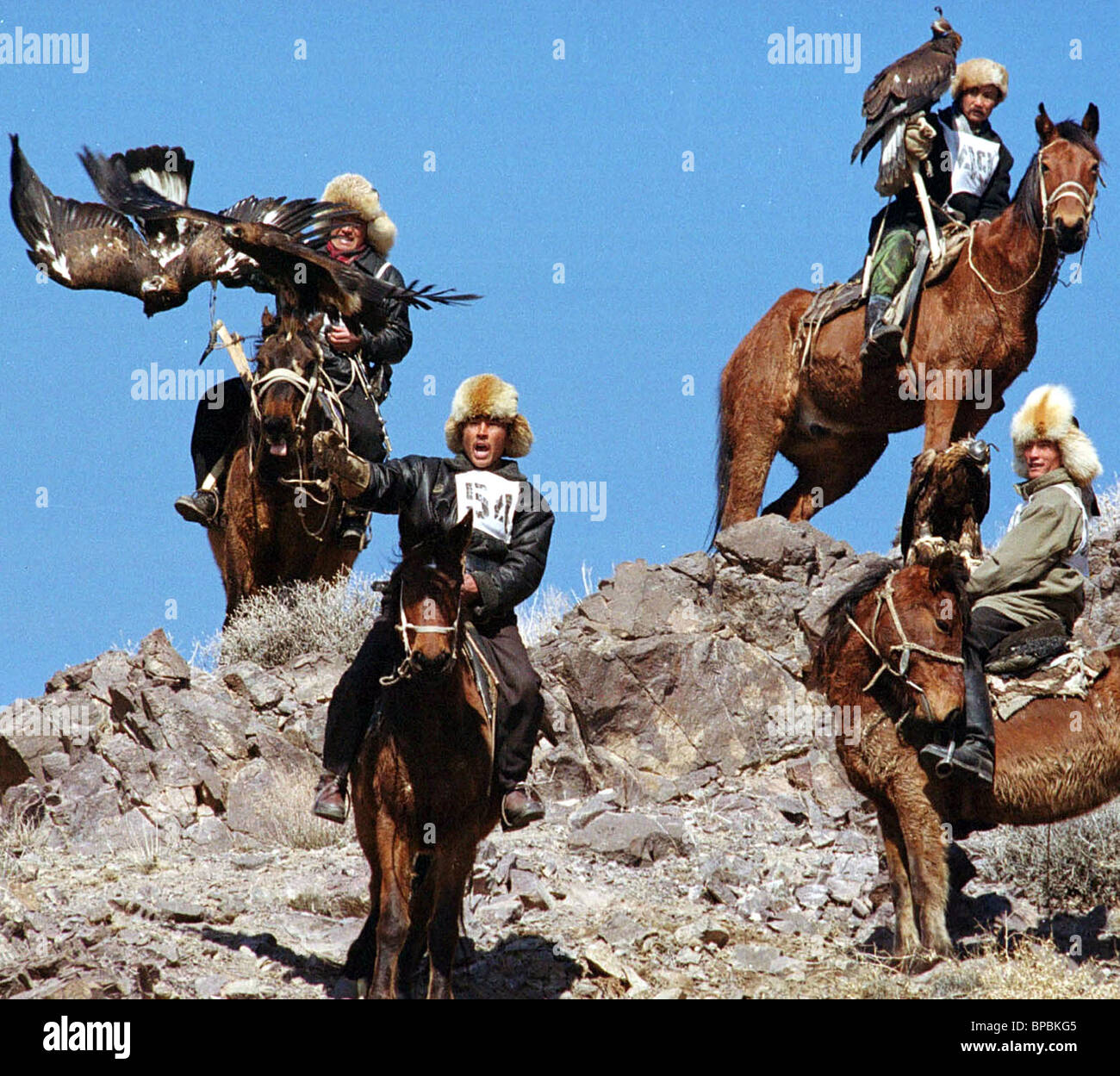 Tame Eagles High Resolution Stock Photography and Images - Alamy