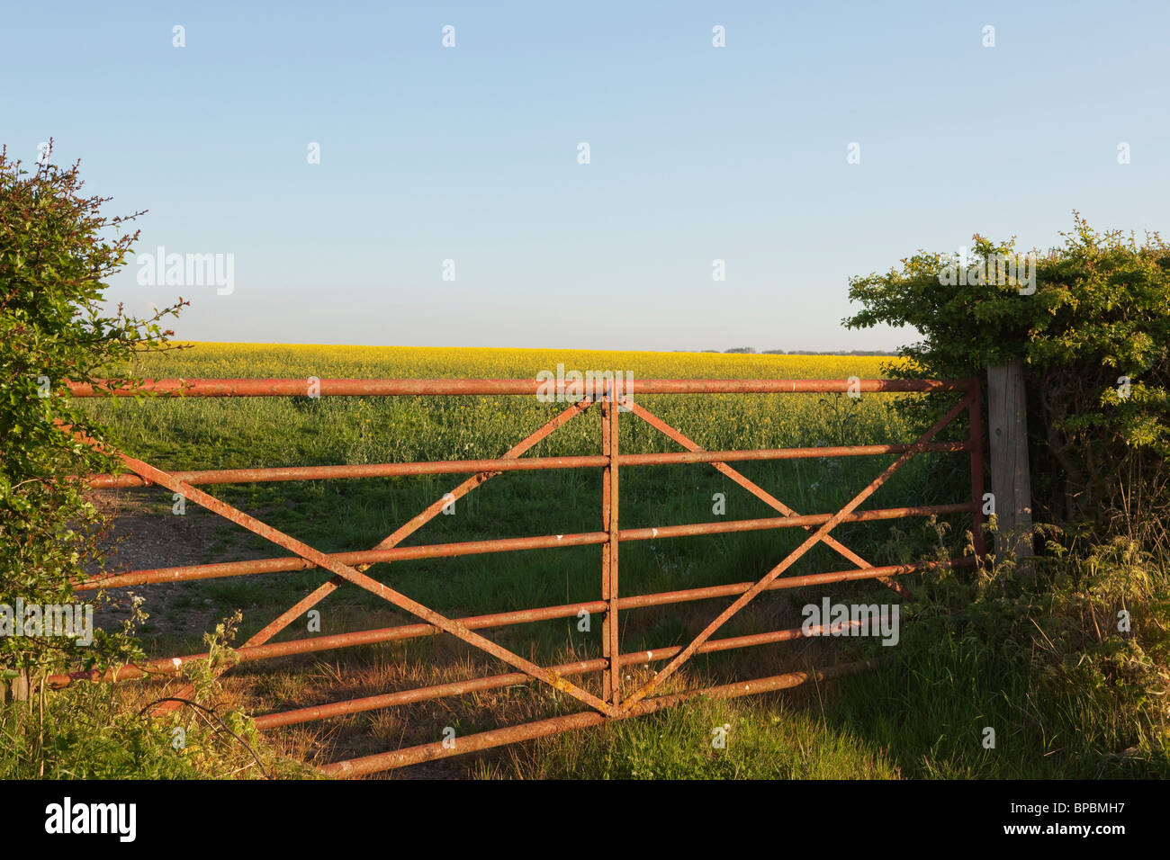 Orange farm gate Stock Photo - Alamy