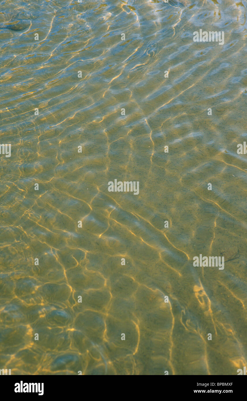 Ripples in shallow lake in Colorado USA Stock Photo - Alamy