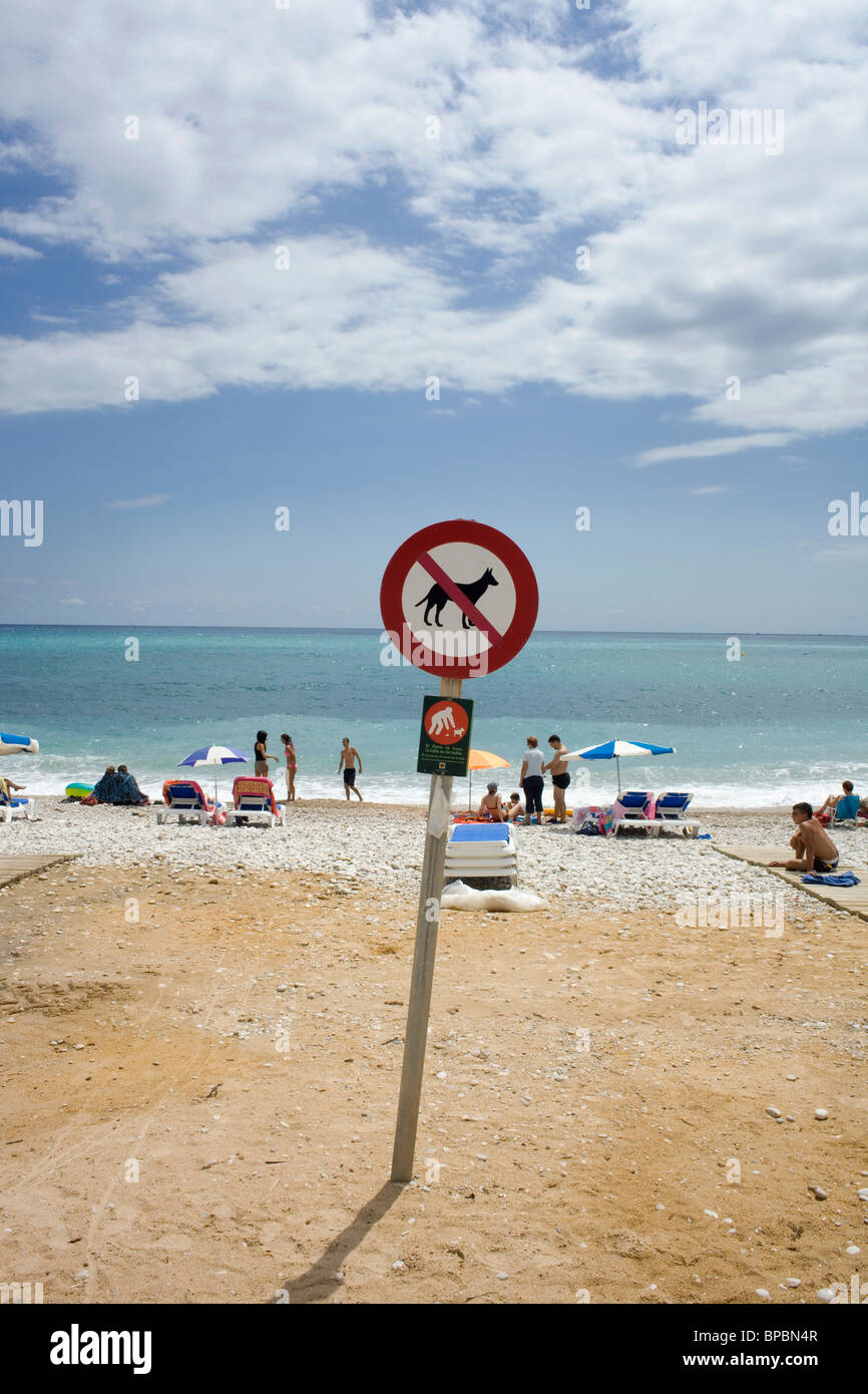 "no dogs on beach" sign on the beach at Altea,Spain Stock Photo - Alamy