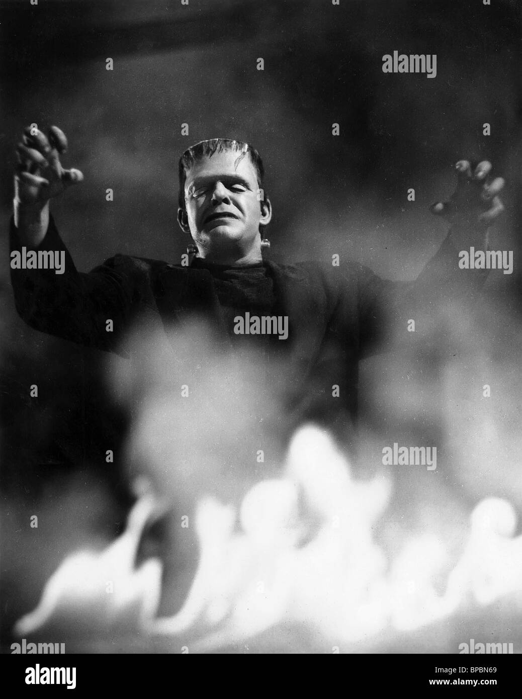 Ghost Of Frankenstein Evelyn Ankers