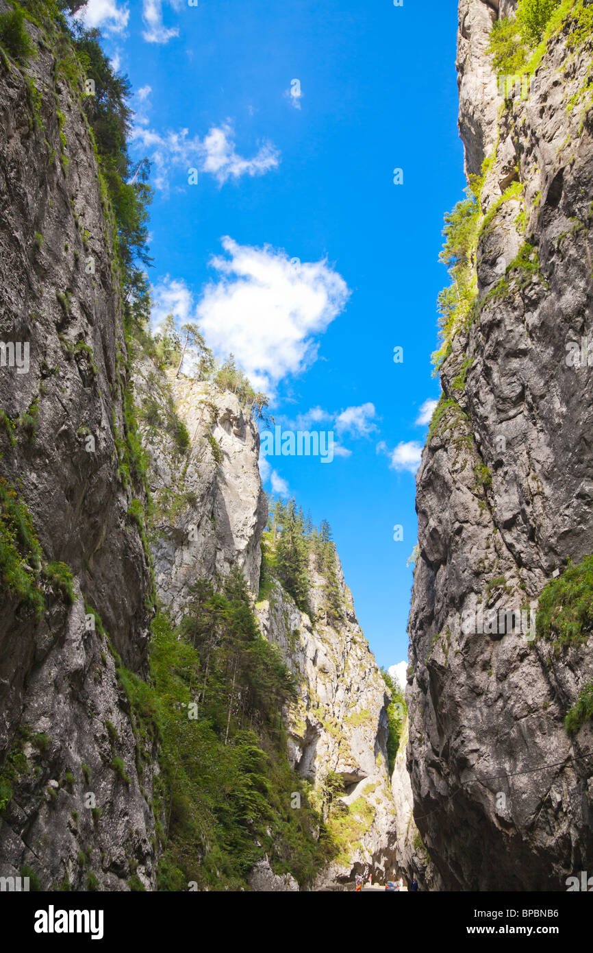 Summer landscape of Bicaz Canyon in Romania Stock Photo - Alamy