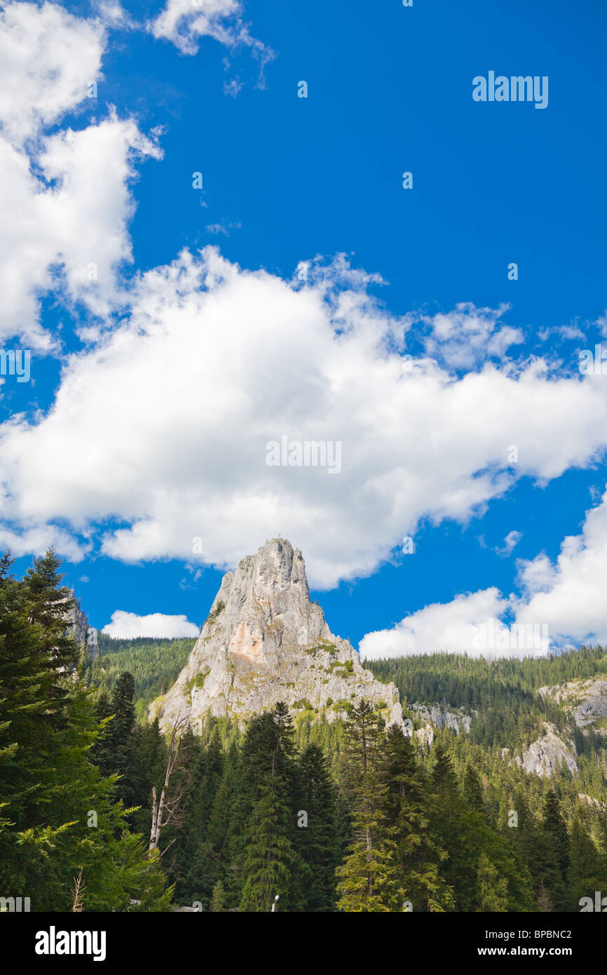 Summer landscape of Hasmas Mountains in Romania Stock Photo - Alamy