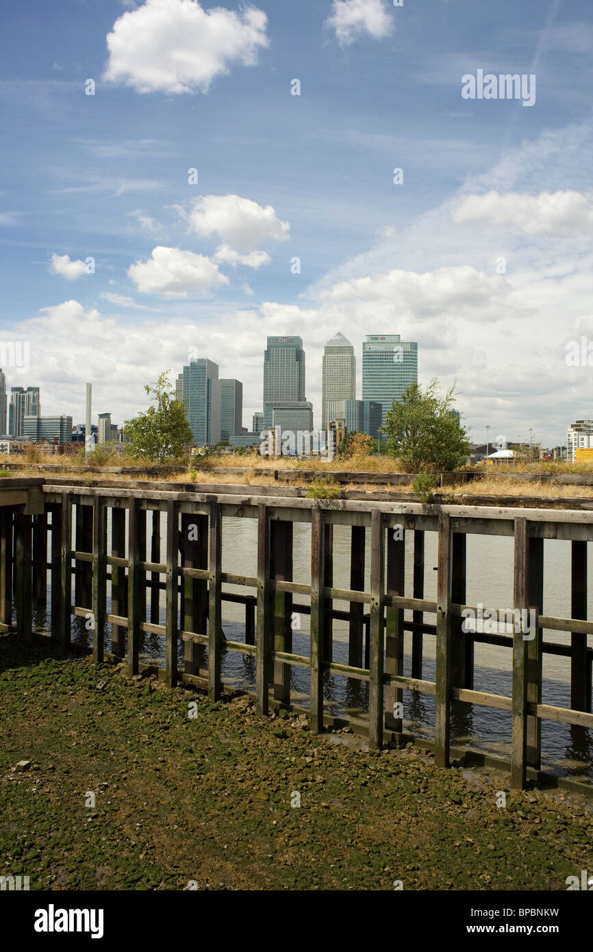 Photograph of conservation area on a jetty on the river Thames, London ...