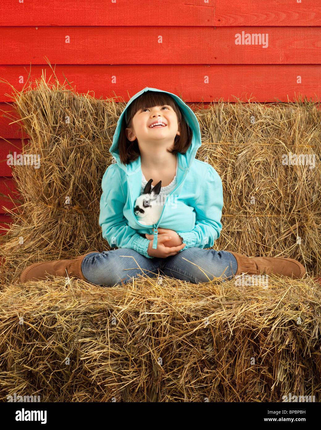 Laughing rabbits hi-res stock photography and images - Alamy