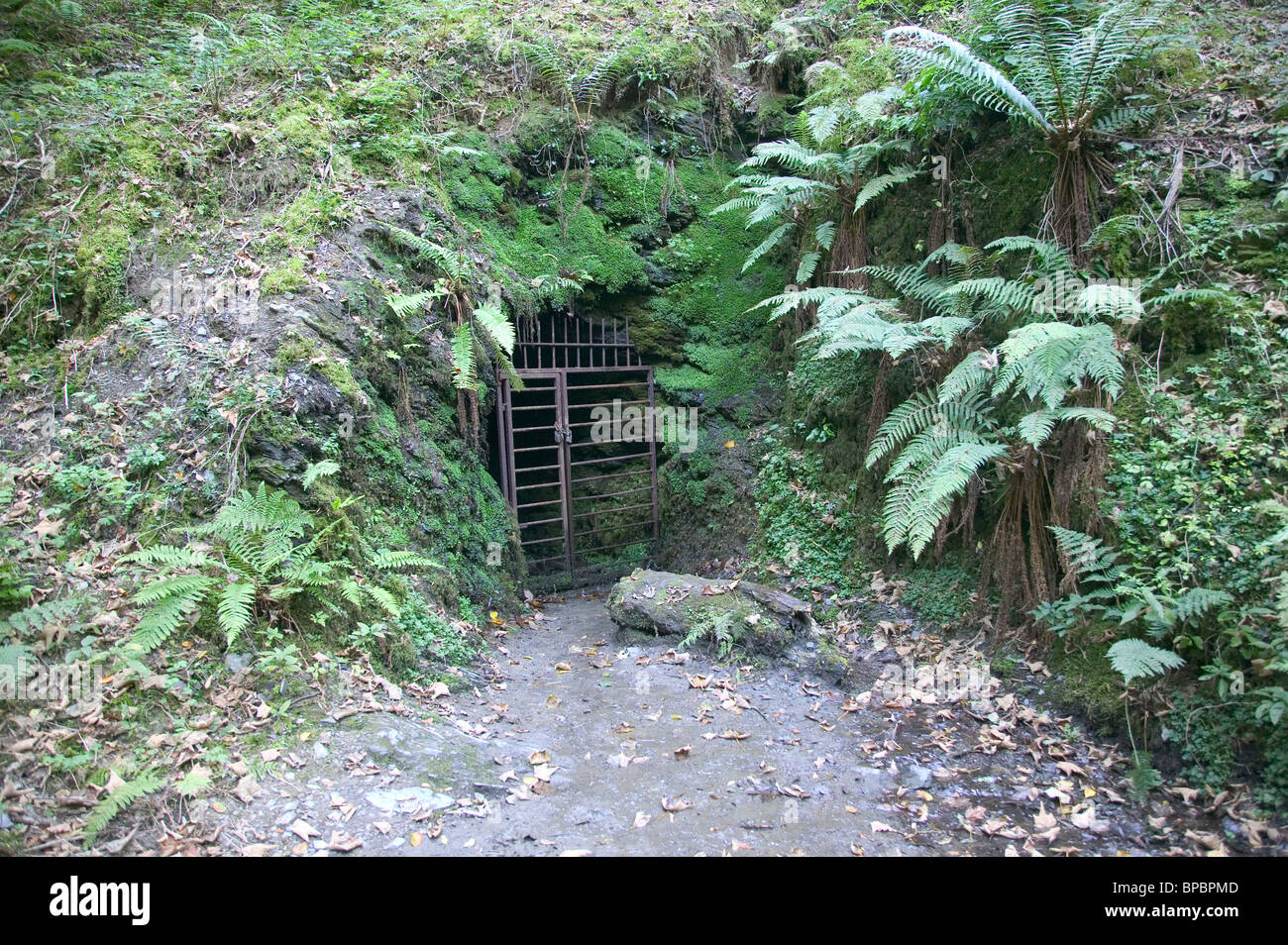 Mine adit, Lydford Gorge, Dartmoor, Devon, UK Stock Photo - Alamy