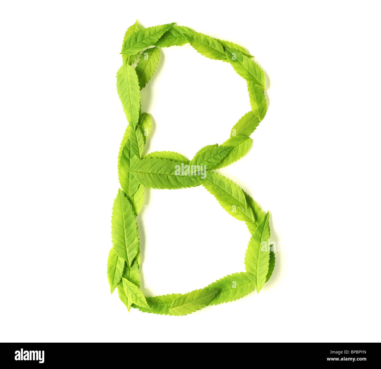 Uppercase letters made of leaves Stock Photo - Alamy
