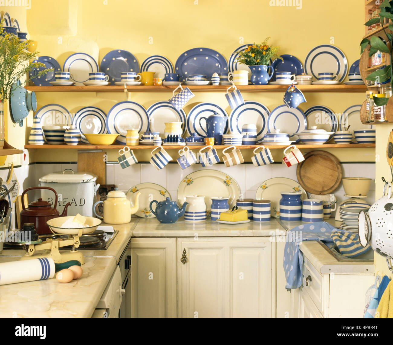 Collection of blue+white striped Cornish-ware crockery on shelves in ...