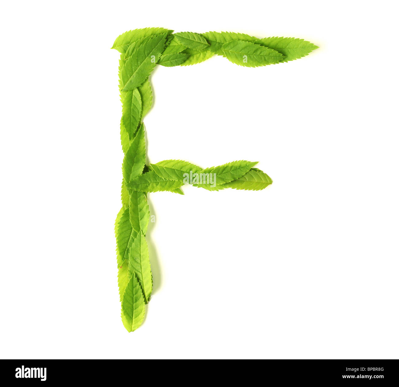 Uppercase letters made of leaves Stock Photo - Alamy
