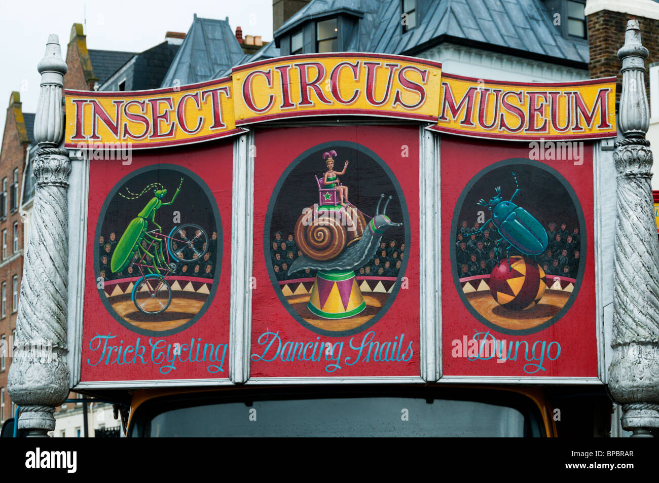 The Insect Circus Museum Stock Photo - Alamy