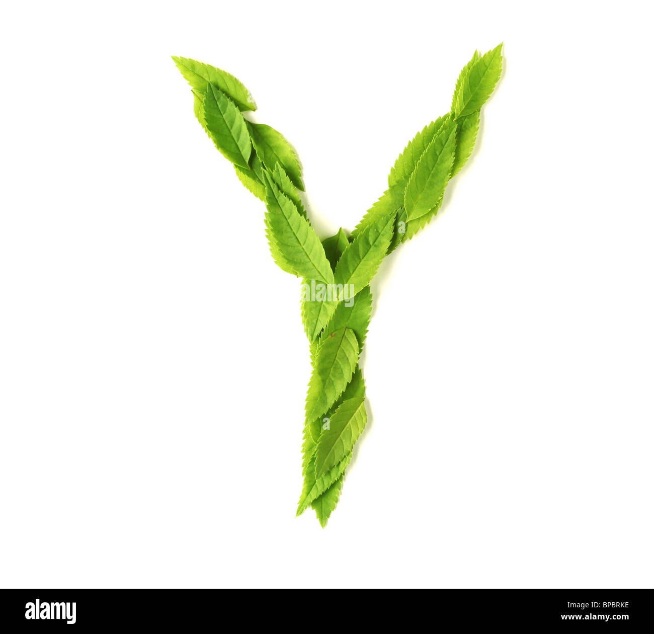 Uppercase letters made of leaves Stock Photo - Alamy