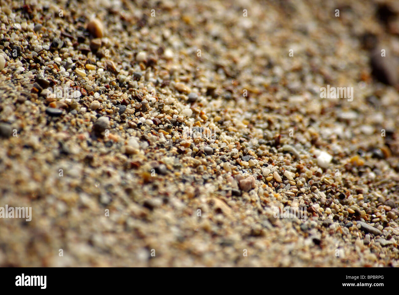 Grain of sand up close hi-res stock photography and images - Alamy