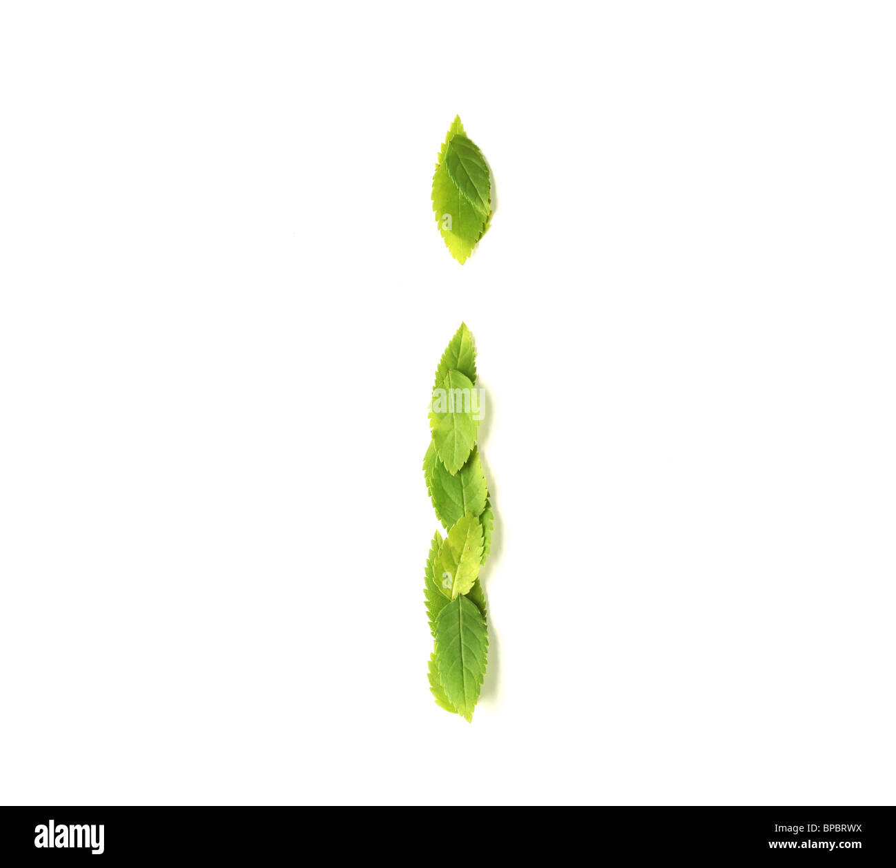 Leaves font letter lowercase Cut Out Stock Images & Pictures - Alamy