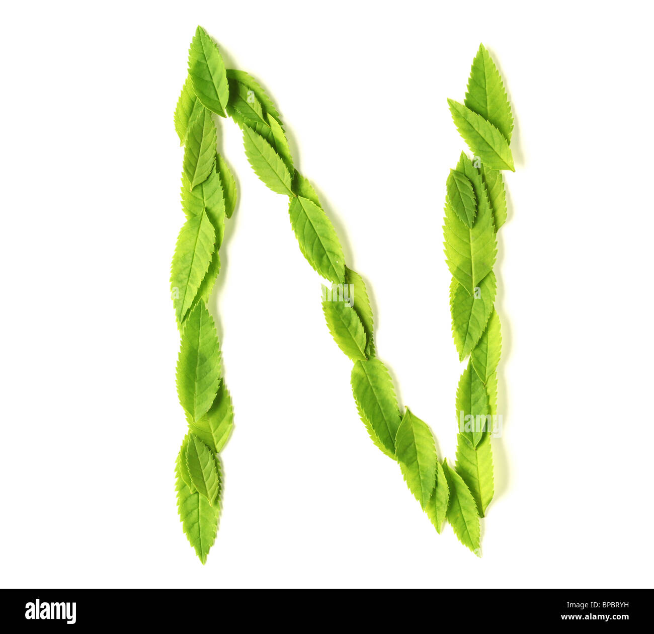 Uppercase letters made of leaves Stock Photo - Alamy