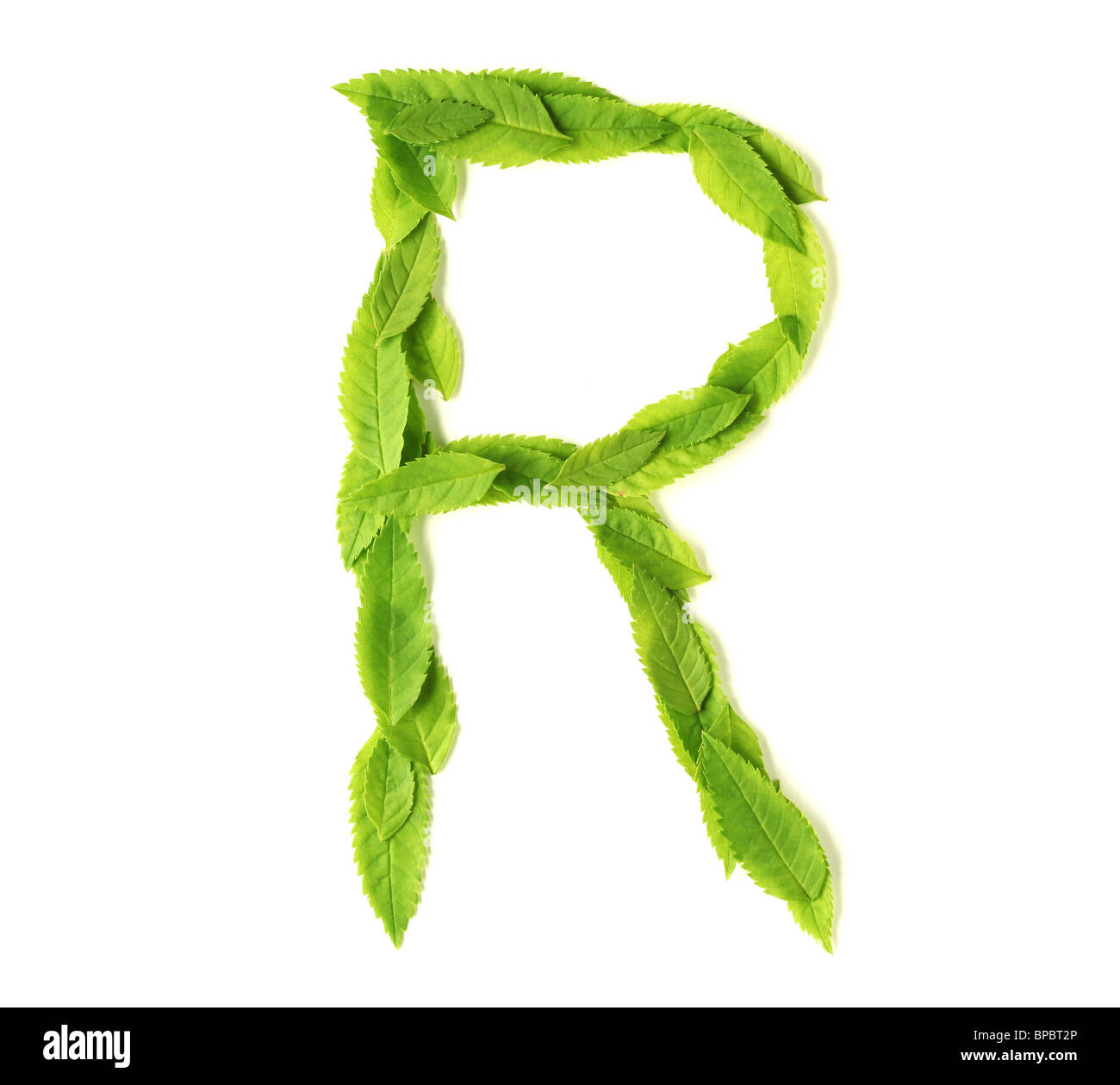 Uppercase letters made of leaves Stock Photo - Alamy