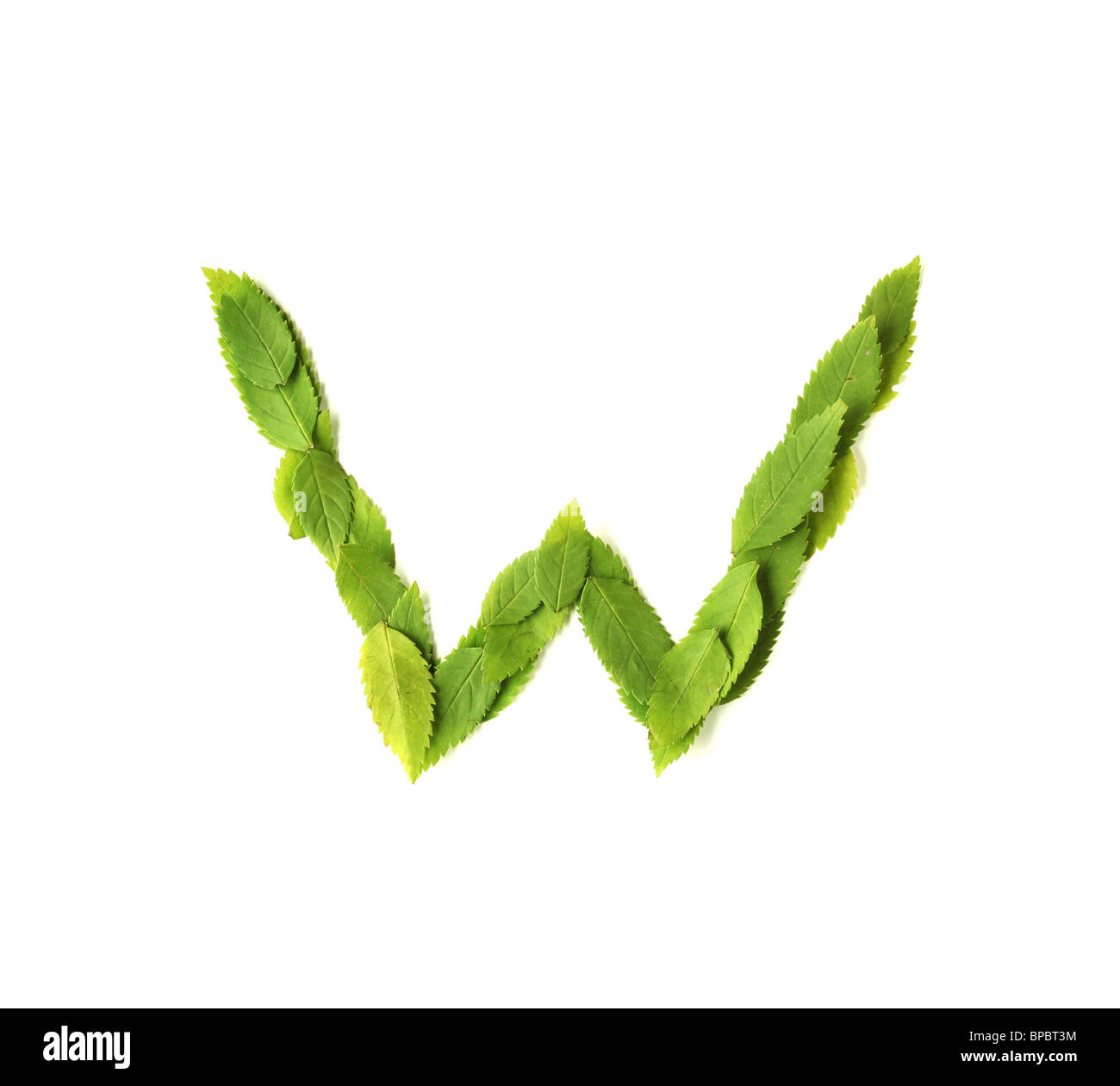 Green leaves ecology letter alphabet hi-res stock photography and ...