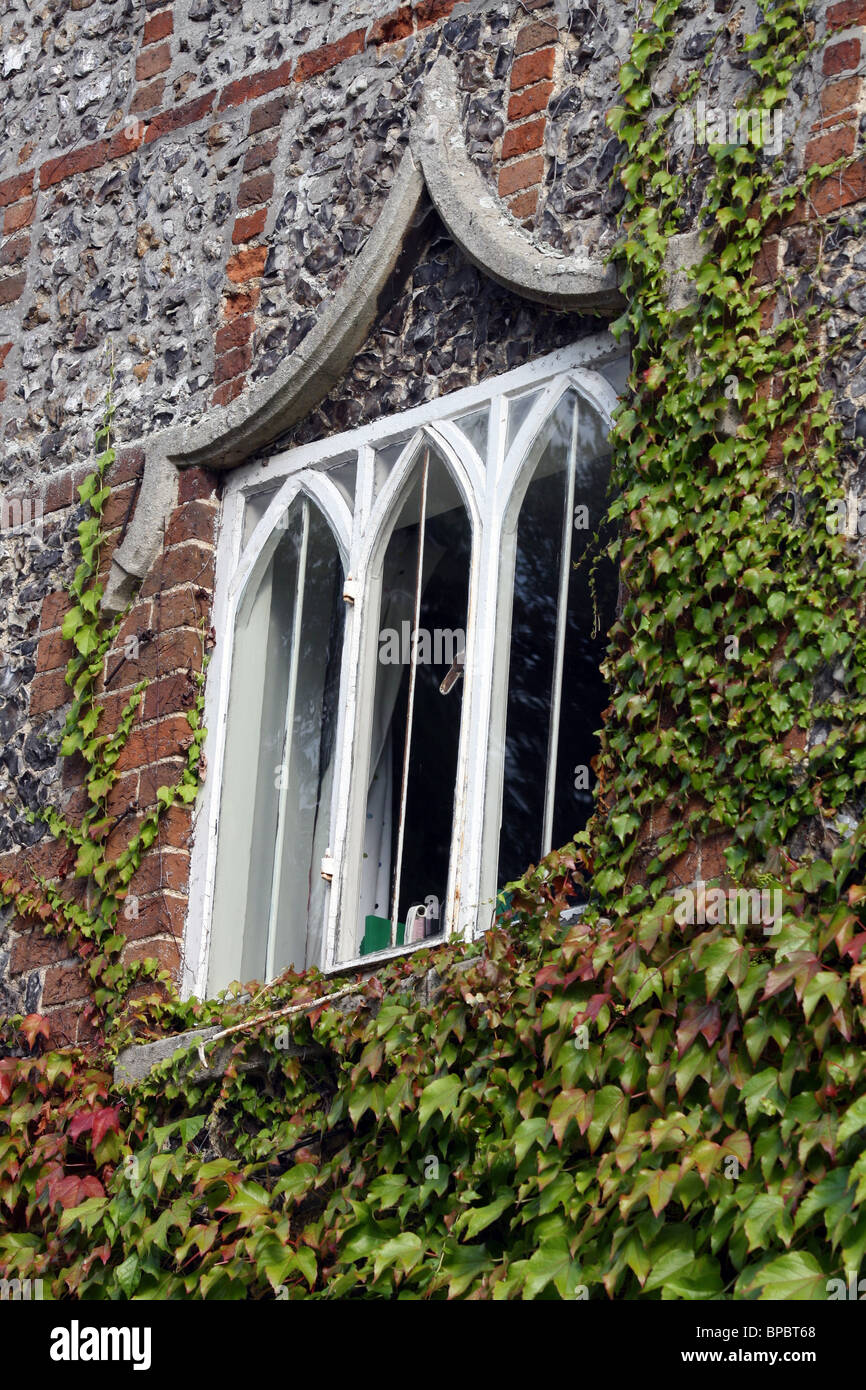 Ornate white window with ivy Stock Photo - Alamy