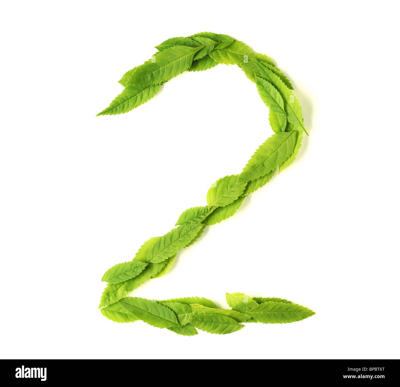 Numbers made of leaves Stock Photo - Alamy