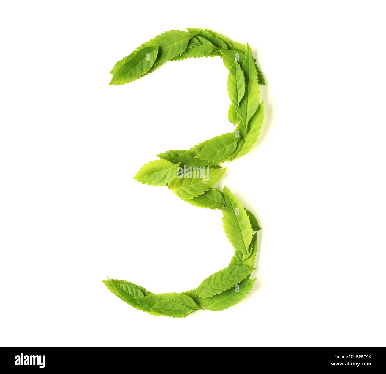 Numbers made of leaves Stock Photo - Alamy