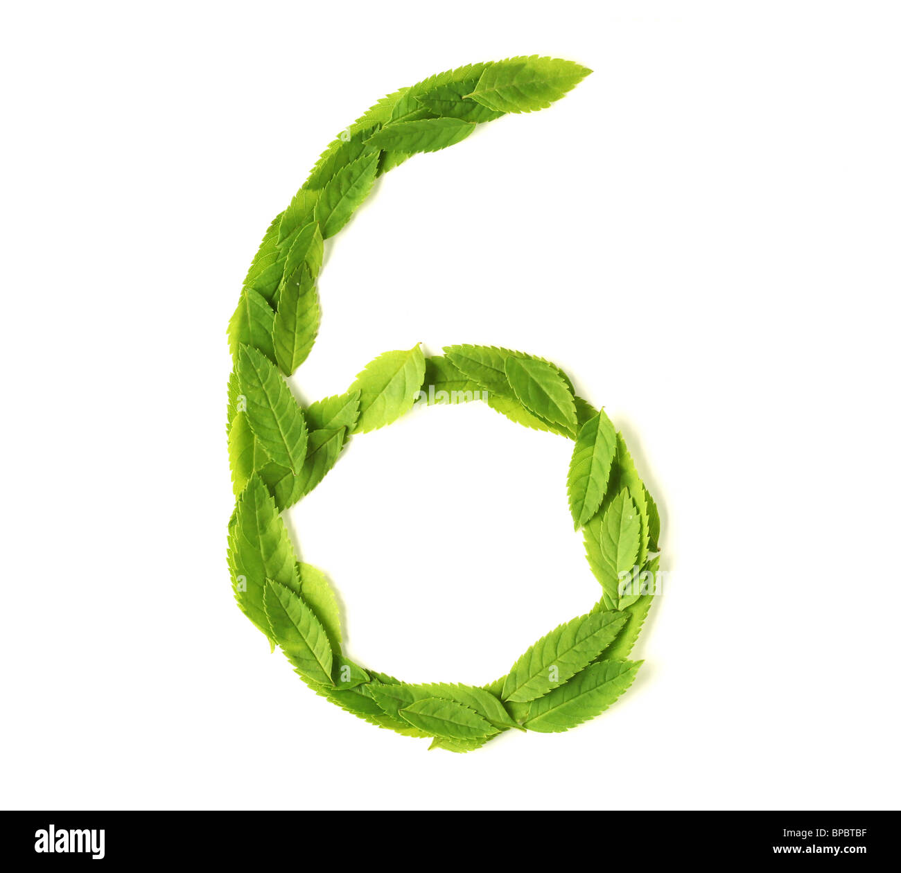 Numbers made of leaves Stock Photo - Alamy