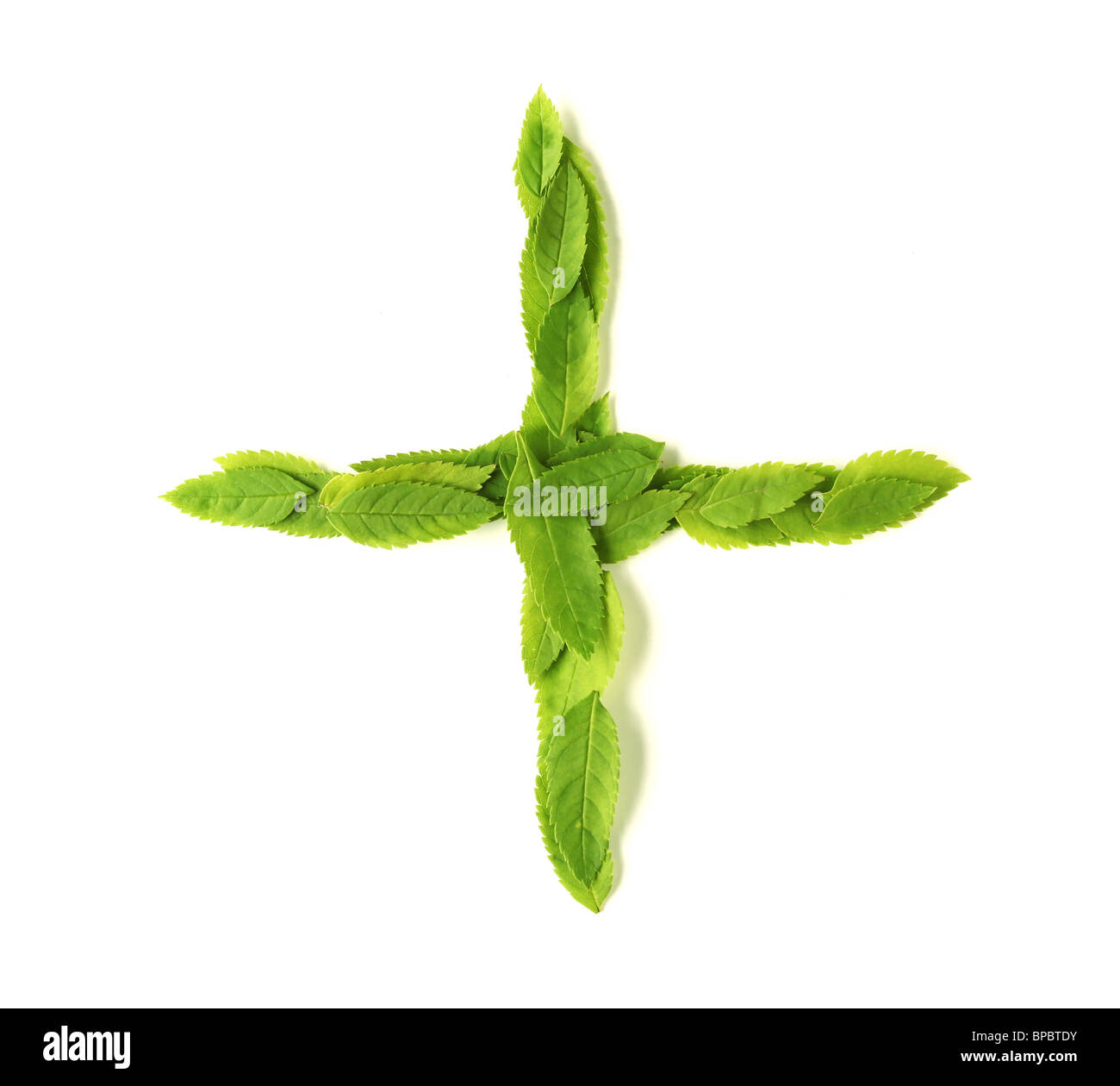 Plus sign made of leaves Stock Photo - Alamy