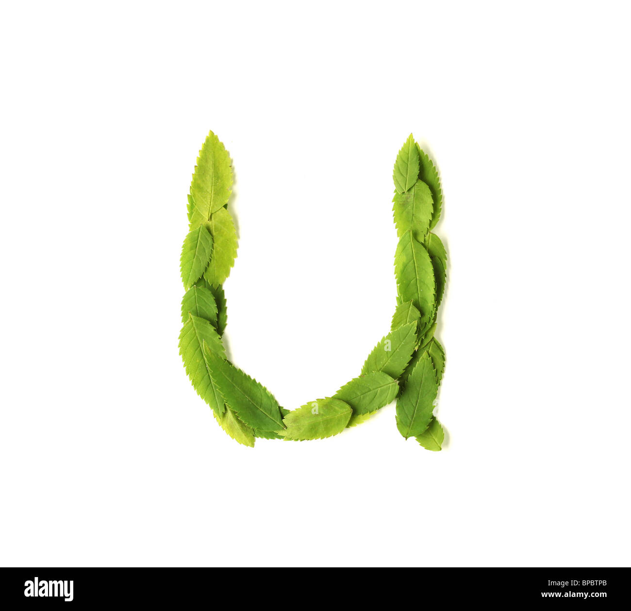 Lowercase letters made of leaves Stock Photo - Alamy