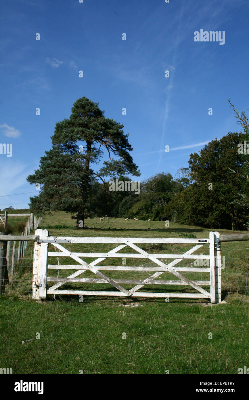White Gate, Green Field. Photograph by Kim Craig Stock Photo - Alamy