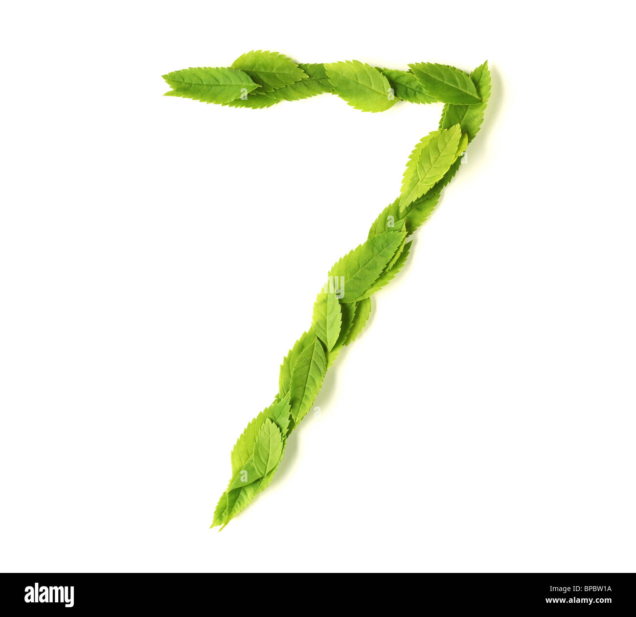 Numbers made of leaves Stock Photo - Alamy