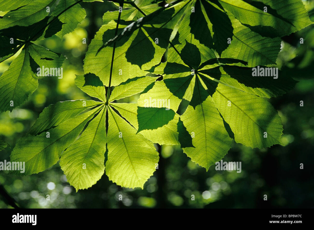 None rural hi-res stock photography and images - Alamy